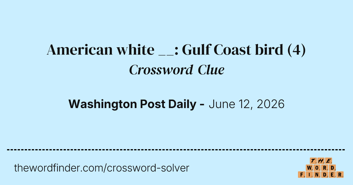 American white __: Gulf Coast bird — Crossword Clue