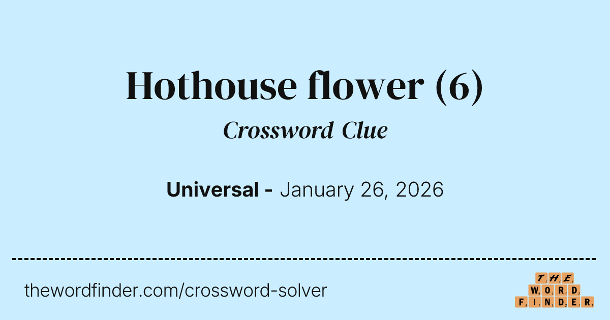 Hothouse flower — Crossword Clue