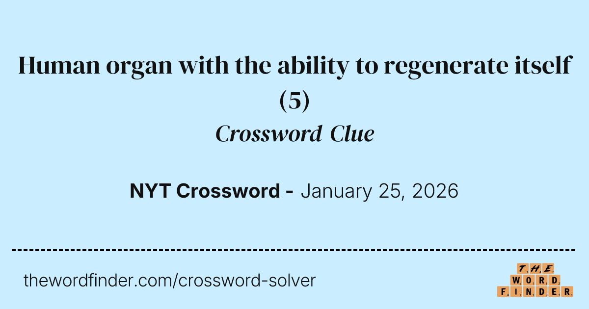 Human organ with the ability to regenerate itself — Crossword Clue