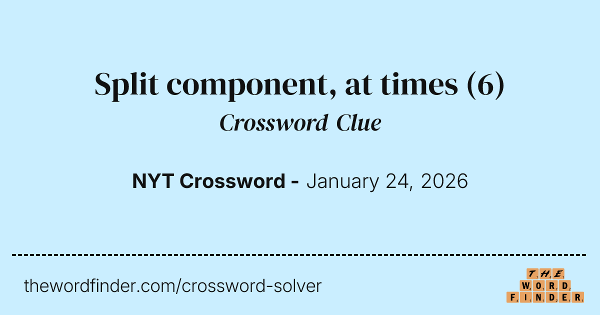 Split component, at times — Crossword Clue