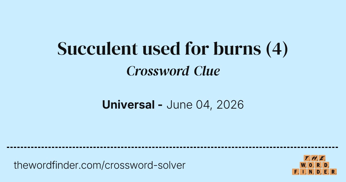 Succulent used for burns — Crossword Clue