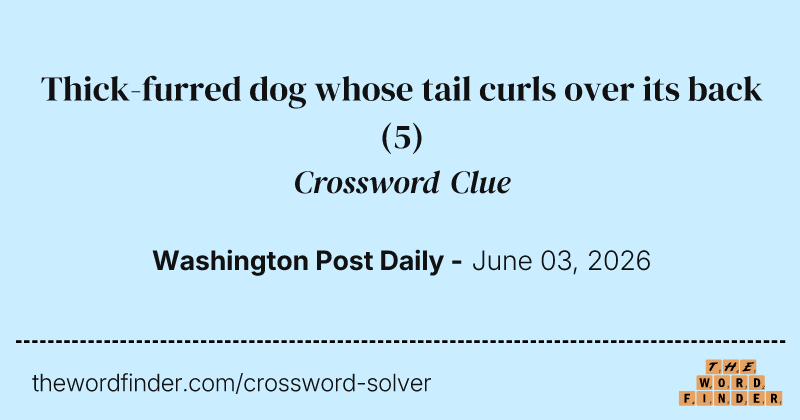 Thick-furred dog whose tail curls over its back — Crossword Clue