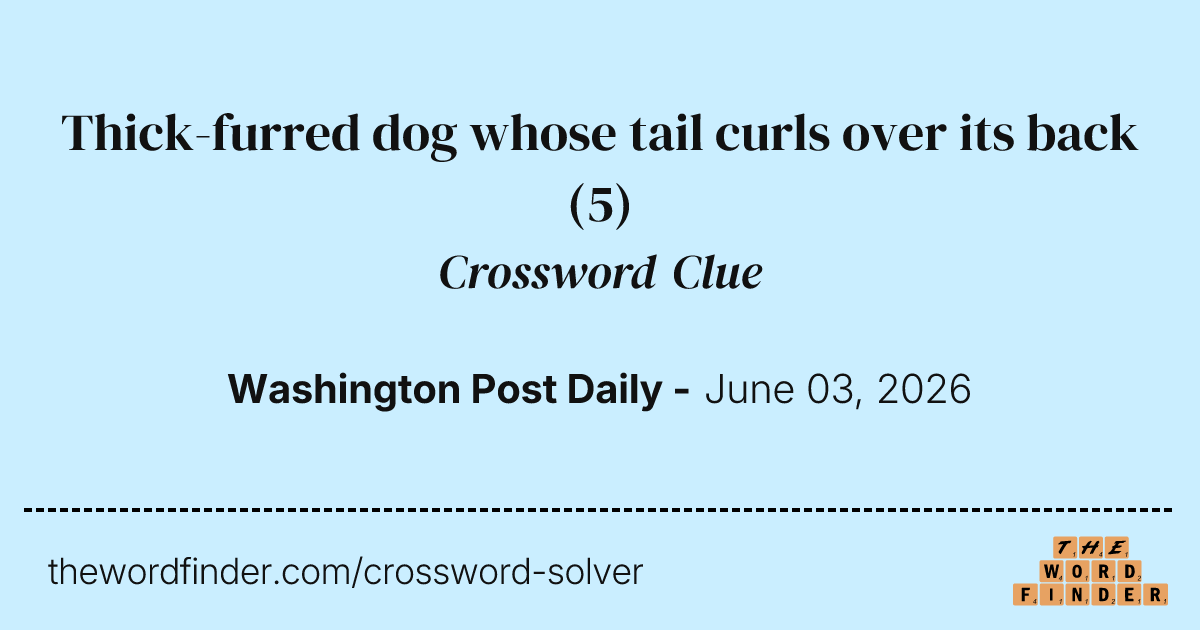 Thick-furred dog whose tail curls over its back — Crossword Clue