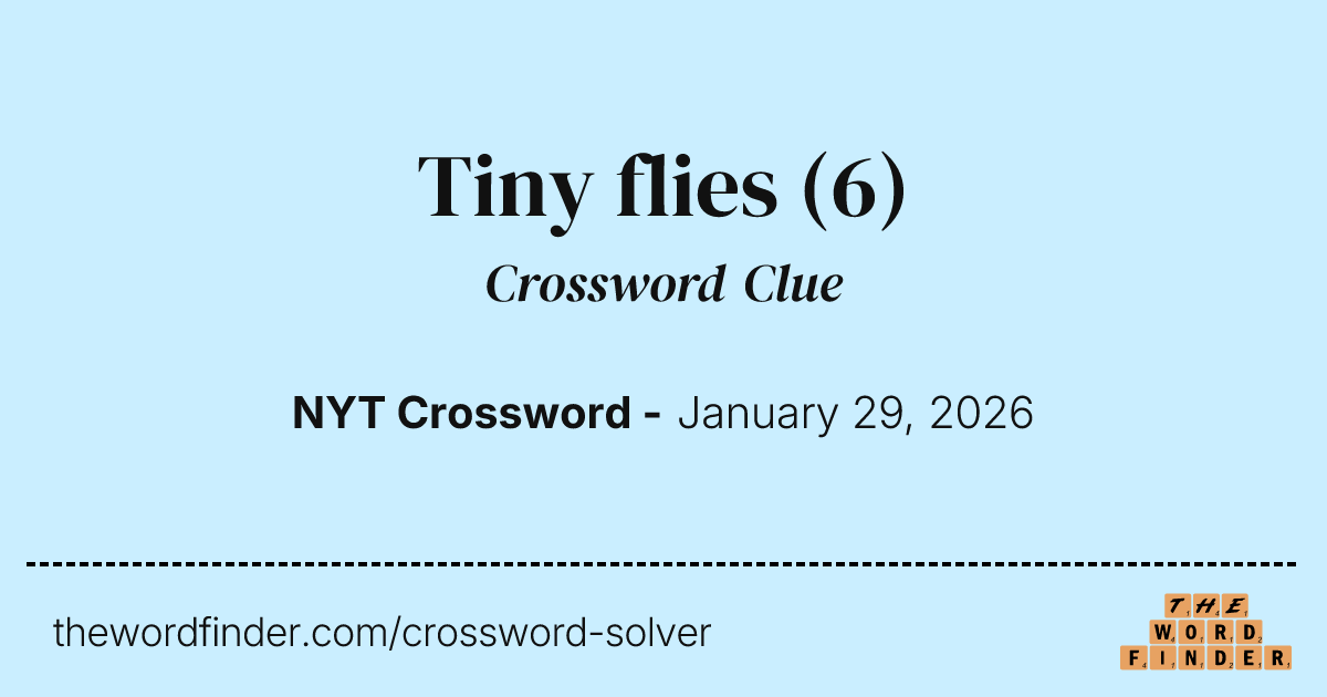 Tiny flies — Crossword Clue